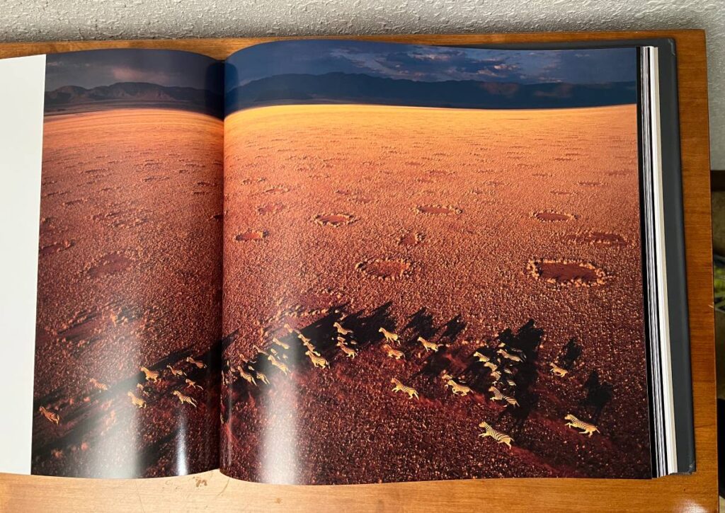 The Human Footprint: Challenges for Wilderness and Biodiversity ...